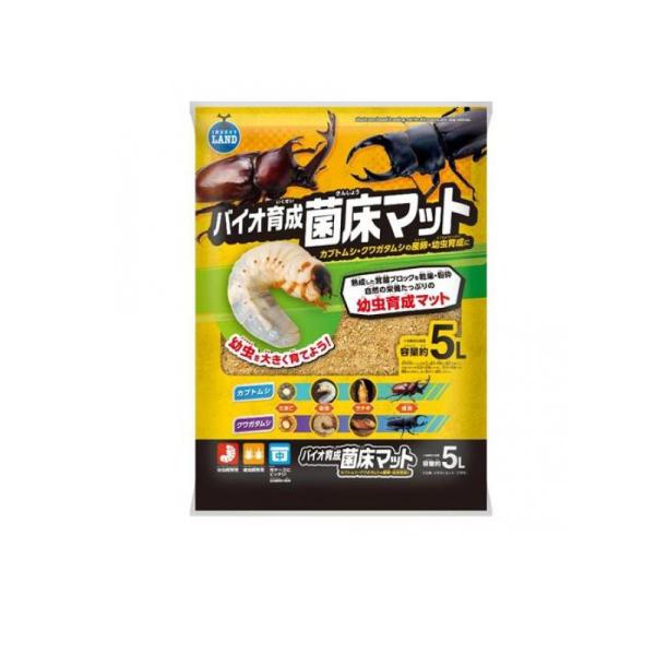 使用期限は6カ月以上先のものを送ります。