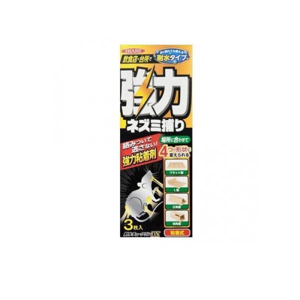 6980円以上購入で送料無料