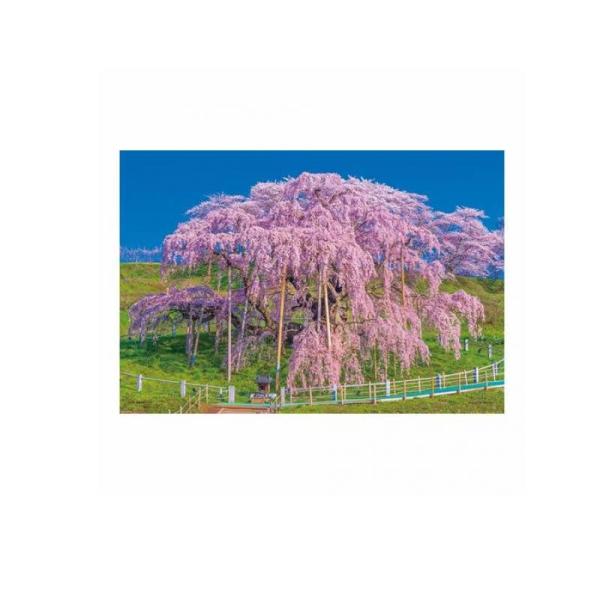 6980円以上購入で送料無料