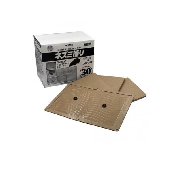 6980円以上購入で送料無料