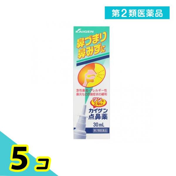 使用期限は6カ月以上先のものを送ります。　鼻づまり・鼻みずに「カイゲン点鼻薬」でシュッと解消　かぜによる鼻みずばかりではなく、花粉やハウスダストによるアレルギー性の鼻炎もたいへんうっとうしく、苦しい気分にさせられます。　噴霧式の「カイゲン点...