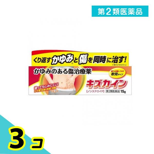 使用期限は6カ月以上先のものを送ります。●「かゆみを鎮める2つの成分　※1」と「化膿を防ぐ成分　※2」が傷口に浸透し，かゆみのある傷を治します。●傷口を保護して治す軟膏タイプです。●塗ってもしみにくい油性の基剤です。●ステロイドは配合してい...