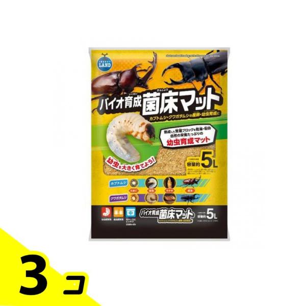 使用期限は6カ月以上先のものを送ります。