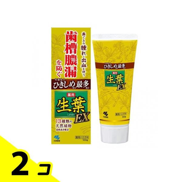 使用期限は6カ月以上先のものを送ります。●生葉史上ひきしめ成分最多配合の歯槽膿漏予防ハミガキ。●13種類の天然植物由来成分配合。●殺菌成分ヒノキチオールが、歯槽膿漏の原因菌を殺菌します。●ひきしめ実感のあるハーブミント味です。