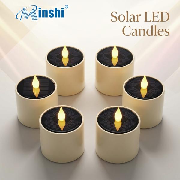 【発売日：2026年01月08日】