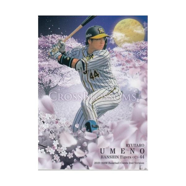 レギュラーカード