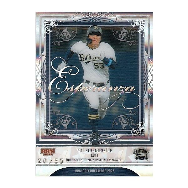 パラレルカード