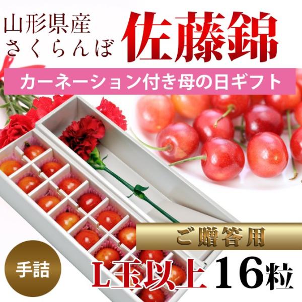 こちらは【 山形県産 母の日ギフト 佐藤錦 L玉 16粒 】での販売ページです。母の日の贈り物に、 山形県産 「 佐藤錦 」 Lサイズ の さくらんぼ を。こちらは予約販売商品【5/4〜5/9に発送】となります。さくらんぼの名産地・ 山形県...