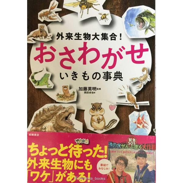 【商品のコンディションについて】コンディションはECサイトの基準に基づいて分類しておりますが、中古商品の特性上、個体差がございます。「未使用に近い」「未使用品」は「新品」ではございません。また、ランクが下がるにつれて、イタミ、汚れ、ヤケが大...
