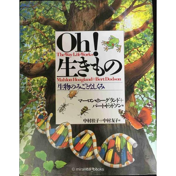 【商品のコンディションについて】コンディションはECサイトの基準に基づいて分類しておりますが、中古商品の特性上、個体差がございます。「未使用に近い」「未使用品」は「新品」ではございません。また、ランクが下がるにつれて、イタミ、汚れ、ヤケが大...