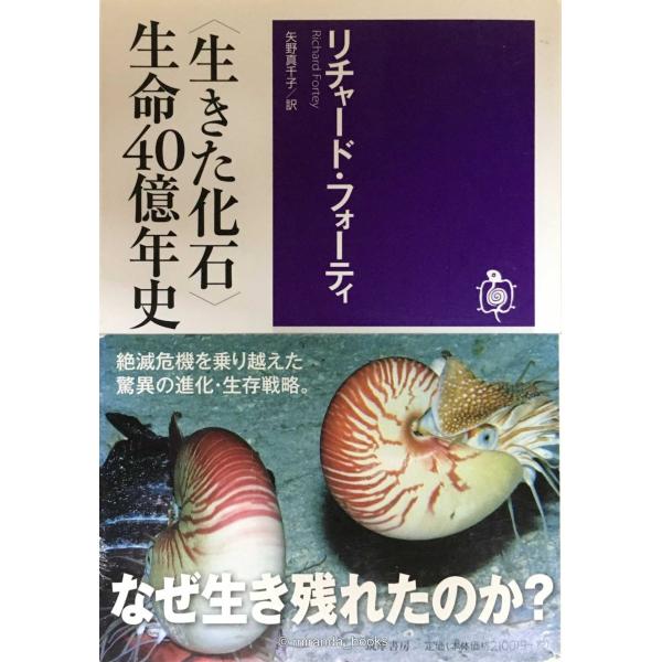 【商品のコンディションについて】コンディションはECサイトの基準に基づいて分類しておりますが、中古商品の特性上、個体差がございます。「未使用に近い」「未使用品」は「新品」ではございません。また、ランクが下がるにつれて、イタミ、汚れ、ヤケが大...
