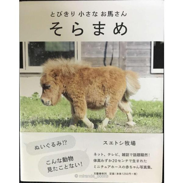 【商品のコンディションについて】コンディションはECサイトの基準に基づいて分類しておりますが、中古商品の特性上、個体差がございます。「未使用に近い」「未使用品」は「新品」ではございません。また、ランクが下がるにつれて、イタミ、汚れ、ヤケが大...