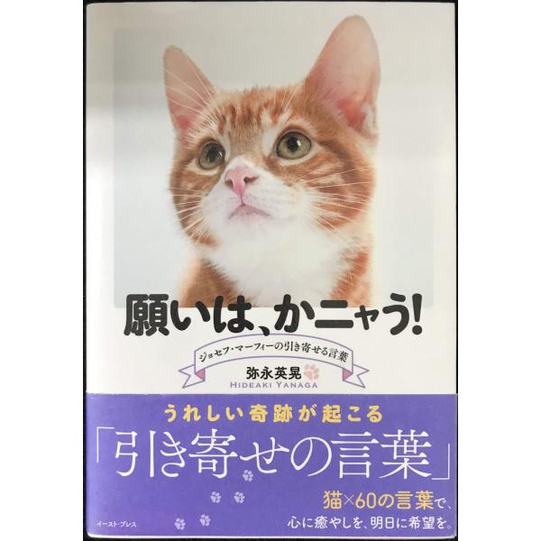 ご覧いただきありがとうございます。・【  中古品  】です。2c0040x5730l2071e0l4願 いは 、 か ニャ う ! ジョセフ・マーフィー の引き寄せる言葉【品質良品】外観に若干のイタミがありますが、書籍自体は本文に破れ、書き...