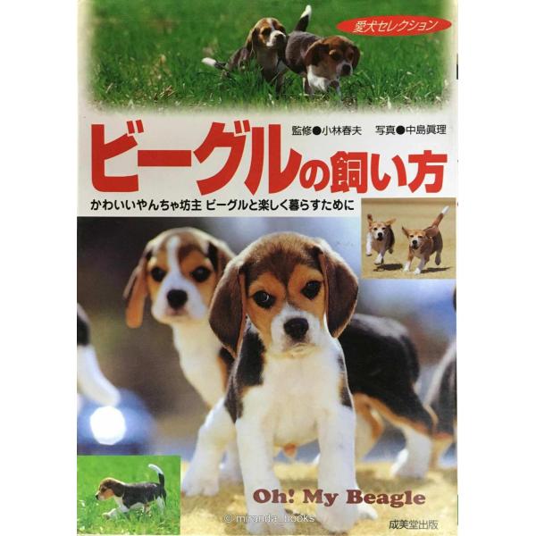 【商品のコンディションについて】コンディションはECサイトの基準に基づいて分類しておりますが、中古商品の特性上、個体差がございます。「未使用に近い」「未使用品」は「新品」ではございません。また、ランクが下がるにつれて、イタミ、汚れ、ヤケが大...