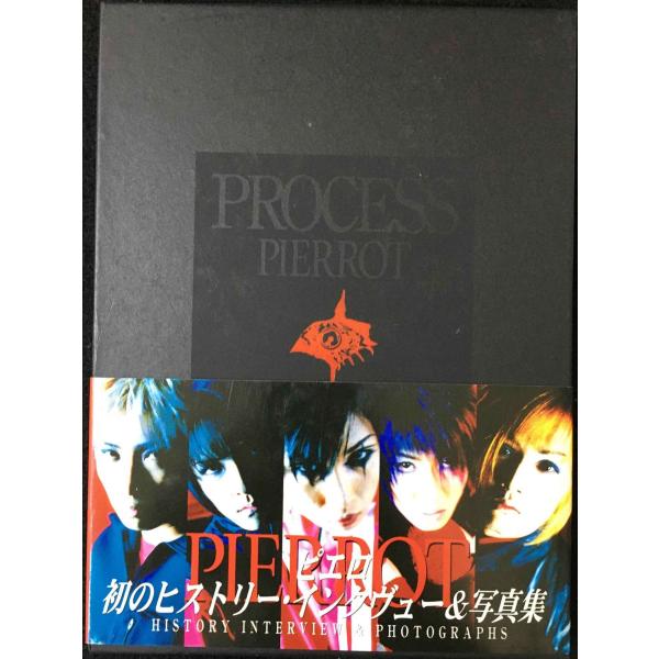 ご覧いただきありがとうございます。・【  中古品  】です。3c0010x5721l4065e0q2PROCESS :  HISTORY   INTERVIEW &amp; PHOTOGRAPHS 単行本【スリーブケース付】若干の経年感やカ...