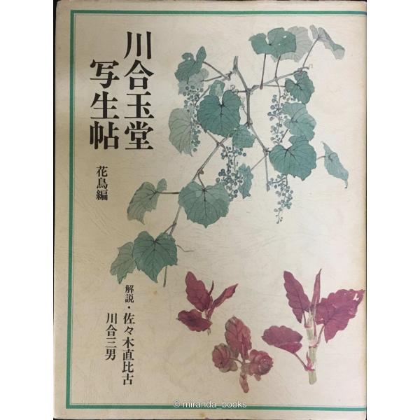 【商品のコンディションについて】コンディションはECサイトの基準に基づいて分類しておりますが、中古商品の特性上、個体差がございます。「未使用に近い」「未使用品」は「新品」ではございません。また、ランクが下がるにつれて、イタミ、汚れ、ヤケが大...