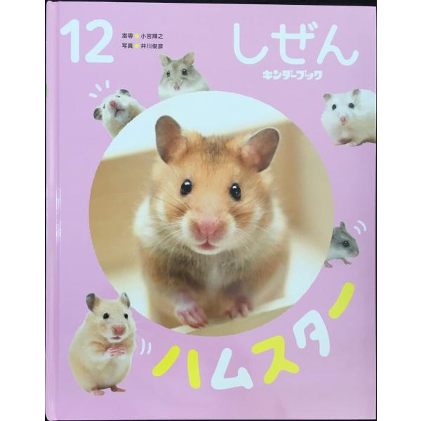ご覧いただきありがとうございます。・【  中古品  】です。8c0010y5666r0400fxv5しぜん   12  ハムスター キンダーブック中古品のため経年によるヤケ、カバーもしくは表紙やカドに折やイタミがございますが、閲覧はできる商...