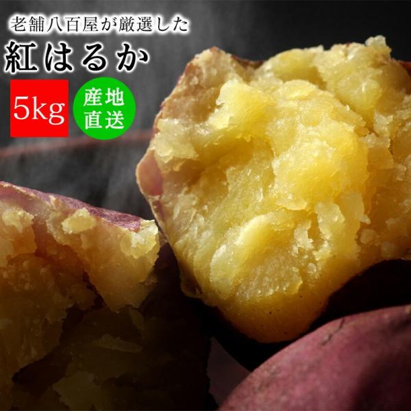 ・商品説明紅はるかは「しっとり」「ねっとり」とした食感で糖度がなんと20〜30度と市販のジャムやはちみつ並みなのが特徴。焼き芋にすると糖度60度ほどと、さつまいもの中で一番甘い品種になります。近年「密芋」として人気急上昇中です。三佐和がお送...