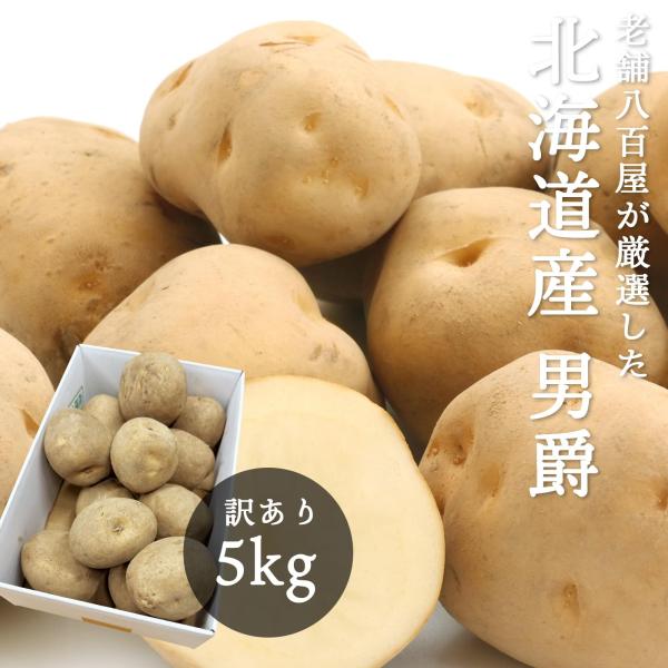 ・商品説明北海道産じゃがいも男爵 訳アリ！ サイズ指定できないわけあり商品だからお安く提供できます！ほかのお野菜より長持ちし、料理のレパートリーもたくさんあるので、常備野菜としてストックしておくのに最適。・収穫時期によってお送りする男爵が異...