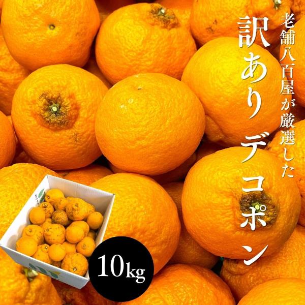 ・商品説明老舗八百屋が厳選した和歌山県産の訳ありデコポンです。 デコポンは品種名は不知火(しらぬい)、「清見(きよみ)」と「ポンカン」を掛け合わせてできた柑橘です。糖度と酸度のバランスが保証されたしらぬいの王様です。デコポンは手で簡単にむけ...