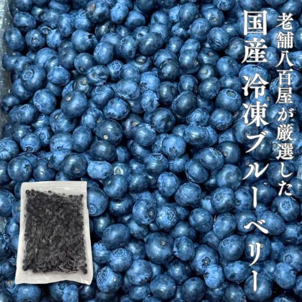 ・商品説明長野県で栽培されている主な品種はハイブッシュ系ですが、近年ではラビットアイ系も栽培されるようになってきました。ラビットアイ系は、ハイブッシュ系よりも甘みが強く、コクのある味が特徴です。長野県産のブルーベリーは、大粒も多く甘みと酸味...