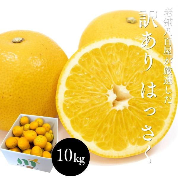 ・商品説明和歌山県産の訳ありはっさく（八朔）です。大きさ混合、すれやキズ・汚れ・日焼けや黒点ありの訳ありとなります。・内容量10kg・生産地和歌山県産・保存方法常温保存・輸送方法常温輸送・お届け日につきまして天候や収穫、入荷の変動等によりお...