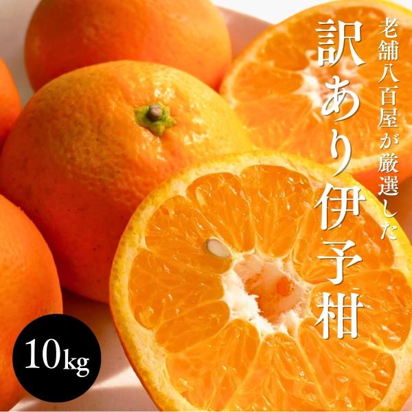 ・商品説明愛媛県産の訳ありいよかん（伊予柑）です。サイズお任せ、大きさ混合、すれやキズ・汚れ・日焼けや黒点ありの訳ありとなります。・内容量10kg・生産地愛媛県産・保存方法常温保存・輸送方法常温輸送・お届け日につきまして天候や収穫、入荷の変...