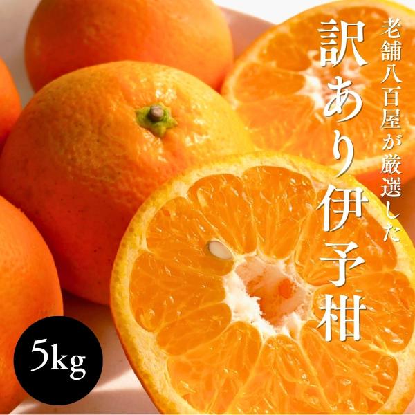 ・商品説明愛媛県産の訳ありいよかん（伊予柑）です。サイズお任せ、大きさ混合、すれやキズ・汚れ・日焼けや黒点ありの訳ありとなります。・内容量5kg・生産地愛媛県産・保存方法常温保存・輸送方法常温輸送・お届け日につきまして天候や収穫、入荷の変動...