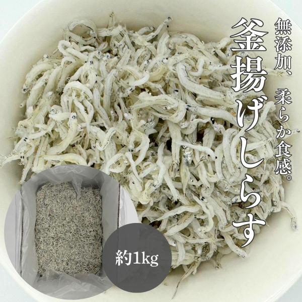 ・商品説明柔らか食感の無添加釜揚げしらす。漁穫後すぐに瞬間冷凍を行い、鮮度が落ちないようにしています。しっとりと柔らかく、塩味が控えめなので魚の甘みを感じることができます。原材料のイワシ稚魚は、エビ、カニ、イカ等が混ざる漁法で漁獲しています...