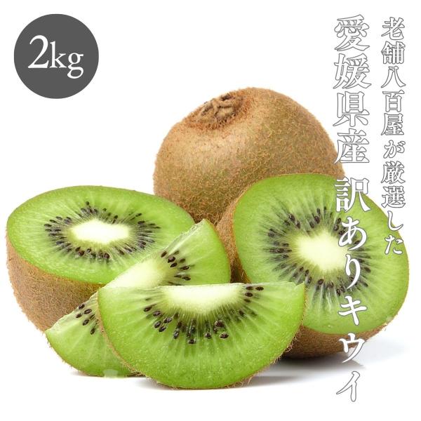 ・商品説明愛媛県産の訳ありキウイ。キウイにも様々な品種がありますが、もっとも多く栽培されているのは、果肉がグリーン色のヘイワードという品種です。愛媛県でも生産量の約9割がこのヘイワード種で、栽培面、品質面でとても優れた品種といわれています。...