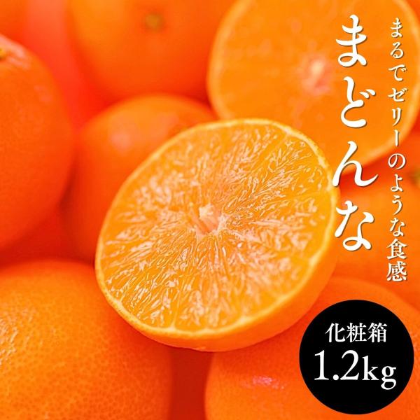 ・商品説明※全て化粧箱でお送りさせていただきますが、その日の入荷により箱の違いが生じる場合があります。果実の特性上、非常に皮が柔らかく輸送中に割れてしまうことがございます。そのため、収穫時の果実のサイズによっては下敷きの緩衝材ではなく、フル...