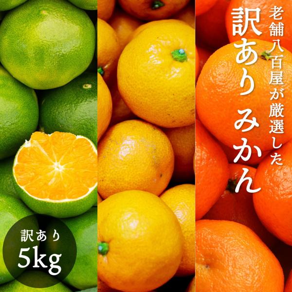 ・内容量5キロ・生産地和歌山県・賞味期限生鮮品のためお早めにお召し上がりください・保存方法風通しの良い涼しい日の当たらない場所や冷蔵庫の野菜室などに保存