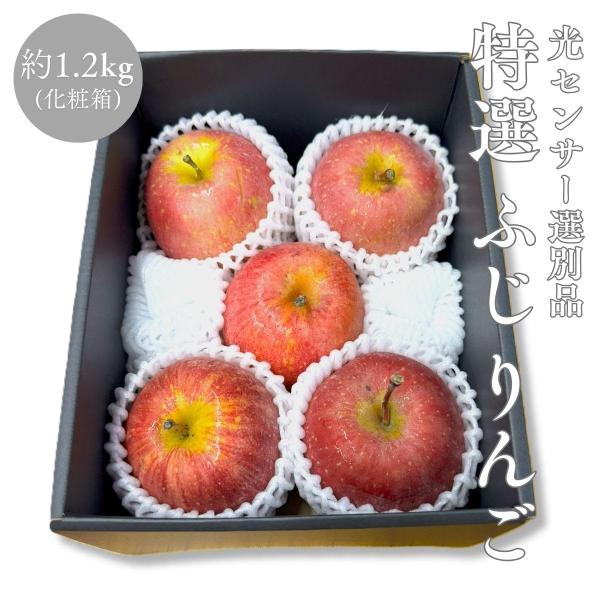 ・商品説明出荷前にしっかり検品を行なっておりますが、 気温が高い時期になると輸送時の蒸れで1日で腐敗やカビを起こすことがあるため、 到着時問題ございましたら弊社までご連絡くださいませ。品種は人気のフジ林檎のみです。全て光センサーにて糖度と痛...