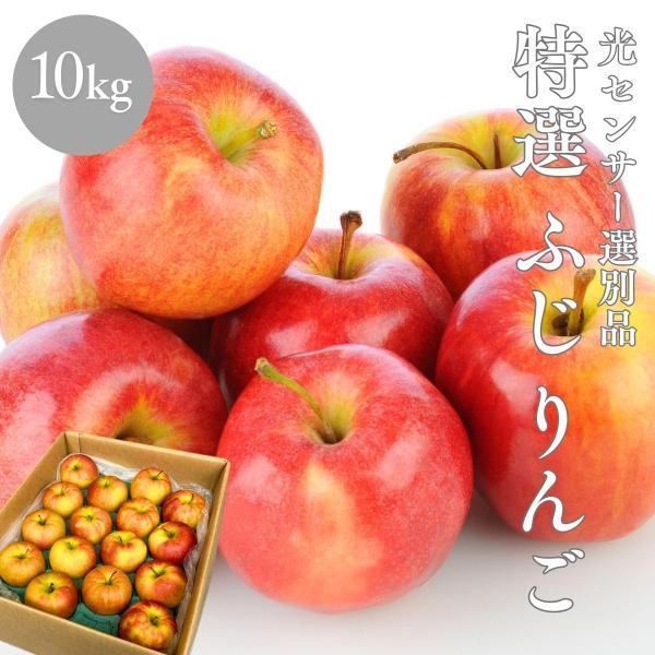 ・商品説明出荷前にしっかり検品を行なっておりますが、 気温が高い時期になると輸送時の蒸れで1日で腐敗やカビを起こすことがあるため、 到着時問題ございましたら弊社までご連絡くださいませ。品種は人気のフジ林檎のみです。全て光センサーにて糖度と痛...