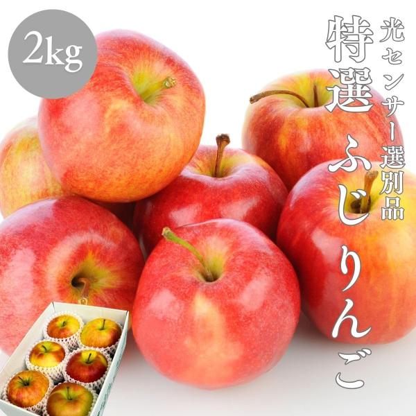 ・商品説明出荷前にしっかり検品を行なっておりますが、 気温が高い時期になると輸送時の蒸れで1日で腐敗やカビを起こすことがあるため、 到着時問題ございましたら弊社までご連絡くださいませ。品種は人気のフジ林檎のみです。全て光センサーにて糖度と痛...