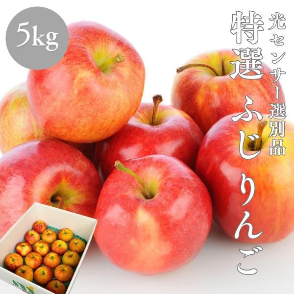 ・商品説明出荷前にしっかり検品を行なっておりますが、 気温が高い時期になると輸送時の蒸れで1日で腐敗やカビを起こすことがあるため、 到着時問題ございましたら弊社までご連絡くださいませ。品種は人気のフジ林檎のみです。全て光センサーにて糖度と痛...