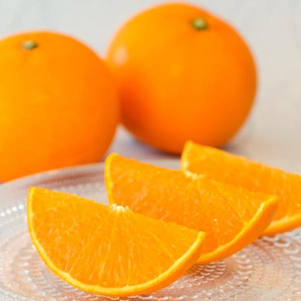 ・内容量1kg・生産地愛媛県・保存方法常温保存・輸送方法常温輸送・お届け日につきまして天候や収穫、入荷の変動等によりお届け予定日を前後する場合がございます。