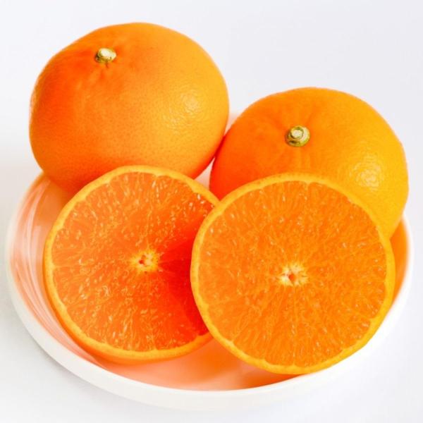 ・内容量1kg・生産地愛媛県・保存方法常温保存・輸送方法常温輸送・お届け日につきまして天候や収穫、入荷の変動等によりお届け予定日を前後する場合がございます。