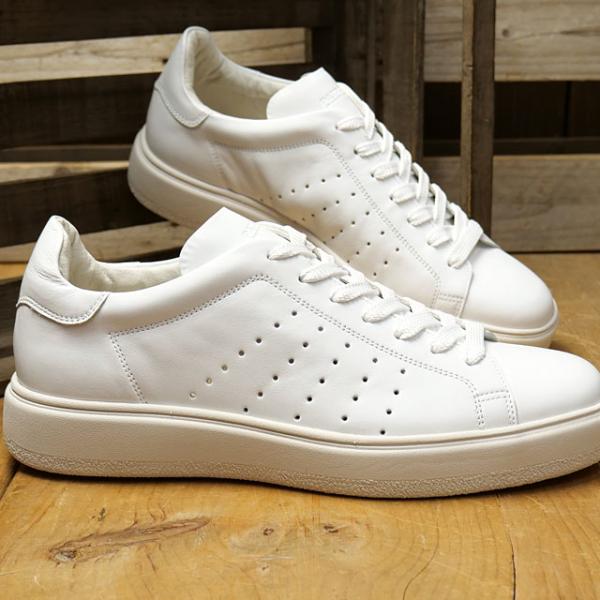 [ ブランド ] パトリック 　PATRICK[ ジャンル ]スニーカー[ 素　 材 ]アッパー：ステアレザー軽やかに包み込む進化系レザースニーカー軽量でありながらしっかりとしたクッション性とボリューム感を備えた新設計モデル「ROBION（...