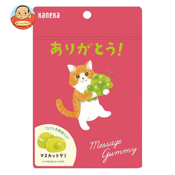 まとめ買いで送料がオトク！3ケースまでは、送料1個口（1梱包）の配送料金でお届けします。1袋あたりの商品価格107円（税別）グミ マスカット メッセージ ありがとう