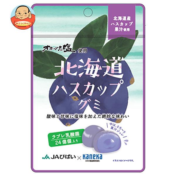 まとめ買いで送料がオトク！3ケースまでは、送料1個口（1梱包）の配送料金でお届けします。1袋あたりの商品価格100円（税別）お菓子 グミ 果汁 ジュレ ラブレ乳酸菌 ラブレ 乳酸菌 チャック付き 腸内環境 ハスカップ