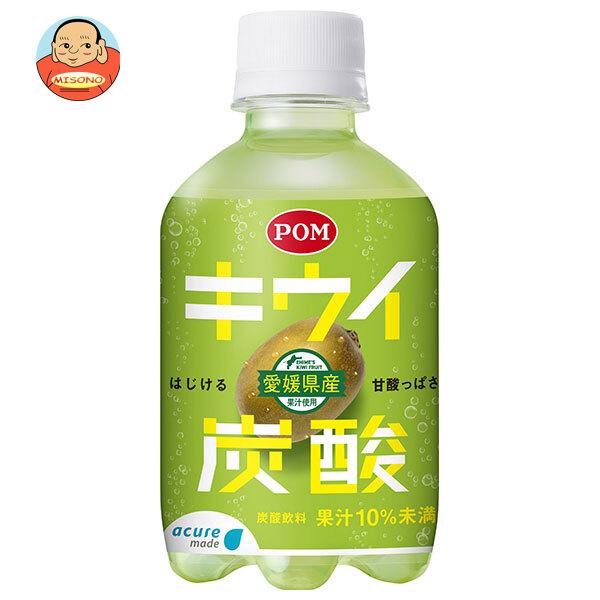 まとめ買いで送料がオトク！3ケースまでは、送料1個口（1梱包）の配送料金でお届けします。1本あたりの商品価格107円（税別）キウイ 炭酸 PET 果汁 ジュース フルーツ