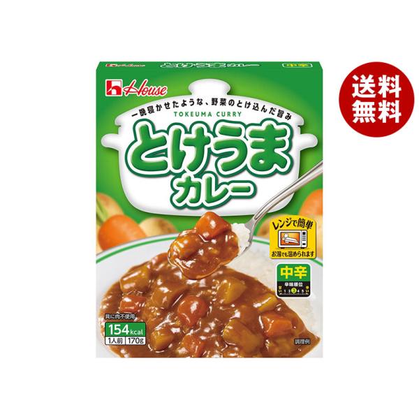 ※送料無料（北海道・沖縄・離島は送料無料対象外です。）一般食品 レトルト カレー 中辛 野菜カレー レンジ