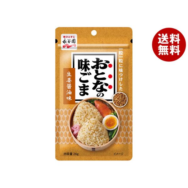 ※送料無料（北海道・沖縄・離島は送料無料対象外です。）まぜこみふりかけ 調味料 ふりかけ 袋 大人のふりかけ