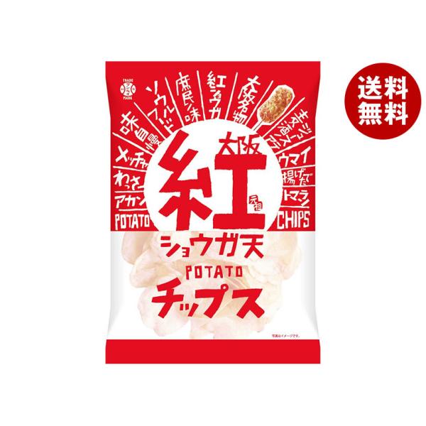 ※送料無料（北海道・沖縄・離島は送料無料対象外です。）お菓子 おやつ スナック菓子 ポテチ