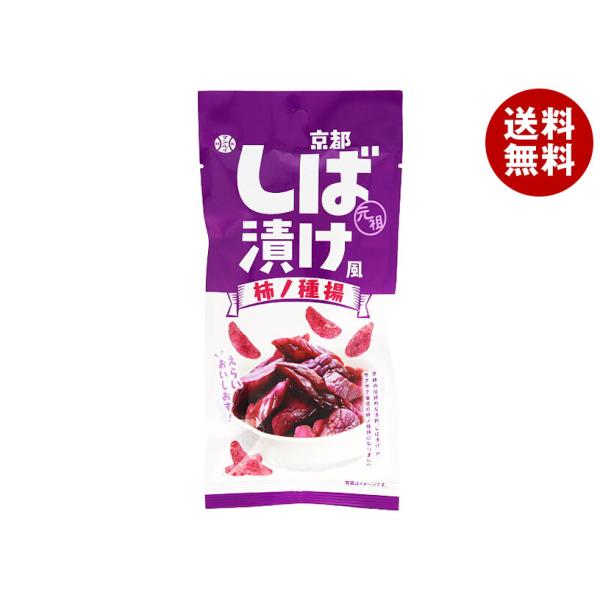 ※送料無料（北海道・沖縄・離島は送料無料対象外です。）