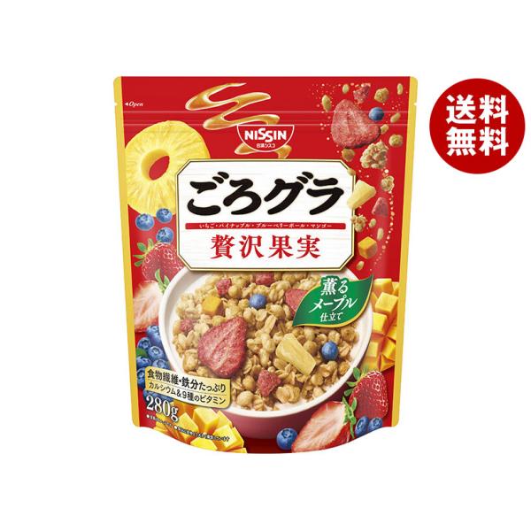 ※送料無料（北海道・沖縄・離島は送料無料対象外です。）グラノーラ シリアル フルーツ 朝食