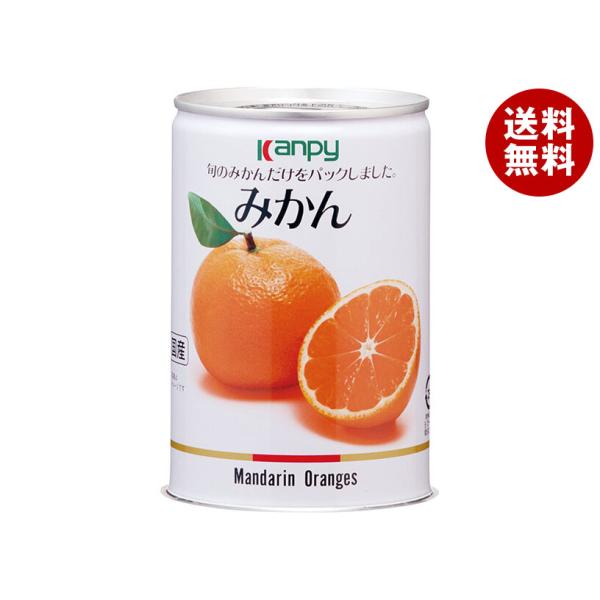 ※送料無料（北海道・沖縄・離島は送料無料対象外です。）缶詰 かんづめ フルーツ 果実 くだもの
