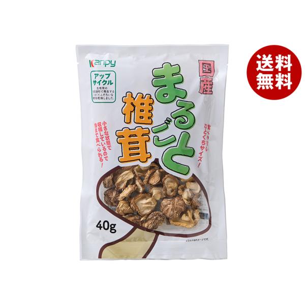 ※送料無料（北海道・沖縄・離島は送料無料対象外です。）一般食品 しいたけ 乾燥