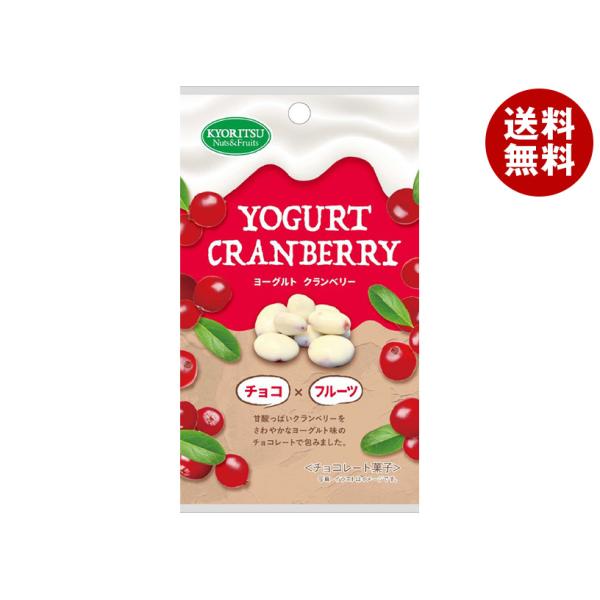 ※送料無料（北海道・沖縄・離島は送料無料対象外です。）ドライフルーツ ヨーグルト スナック ベリー